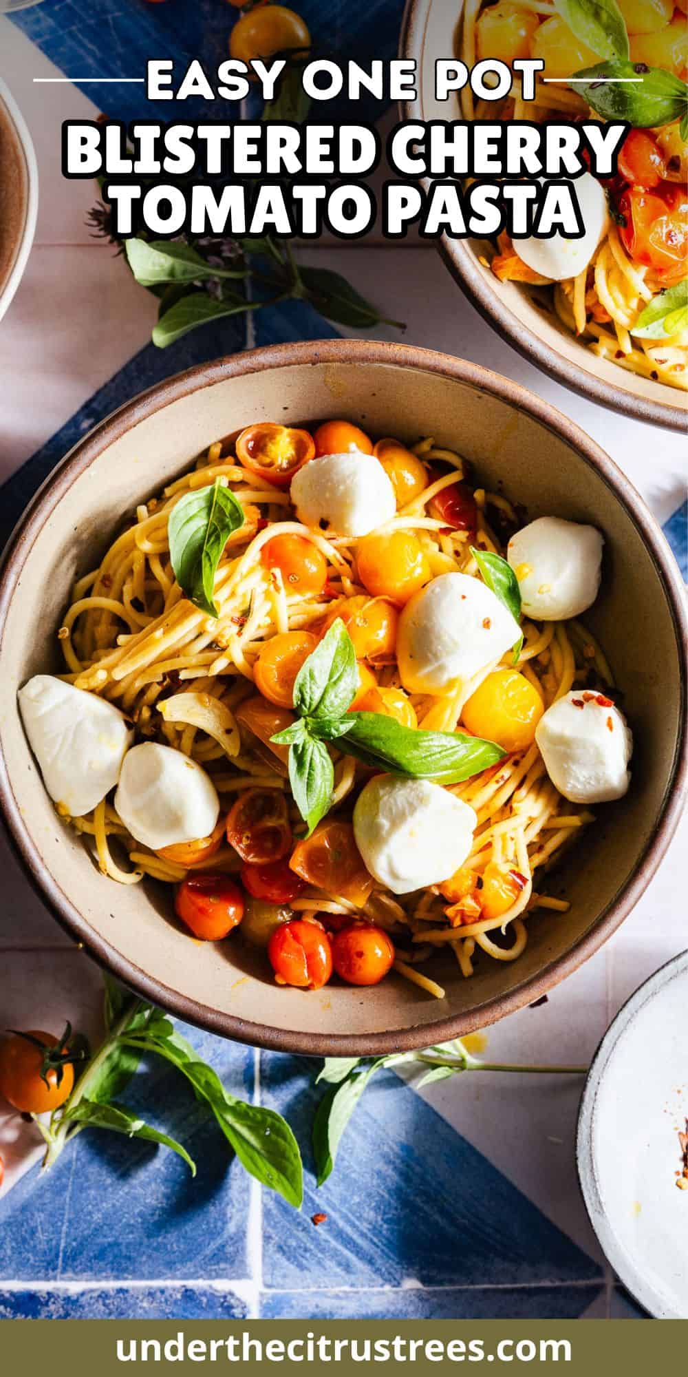 Blistered Cherry Tomato Pasta with Mozzarella Balls - Under the Citrus ...
